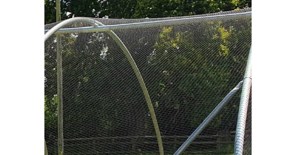 Fruit Cage Net 6 Meter Wide - Ferryman Polytunnels Devon